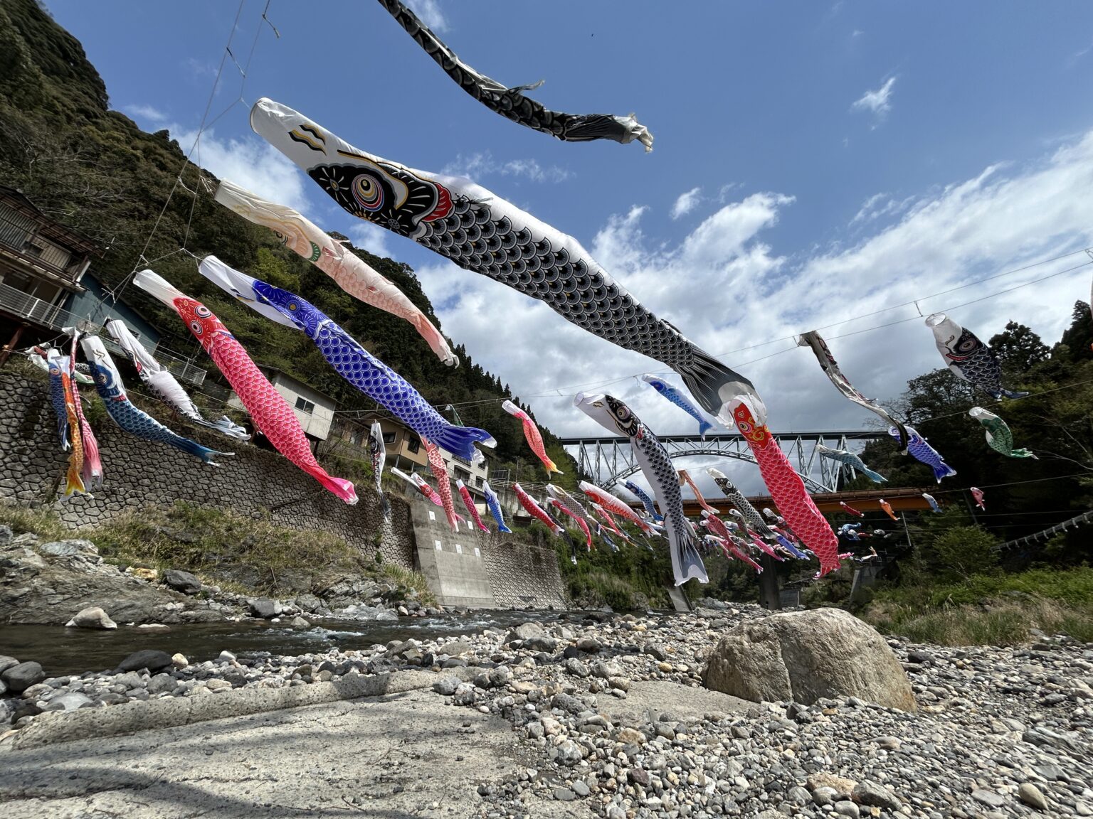 🌟『日之影のよかとこ！！』に選ばれました🌿 – FSC｜ふれあいサポートセンターHINOKAGE